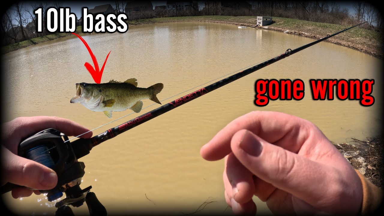 I Hooked a 10lb Bass… Then THIS Happened! 😱 - YouTube