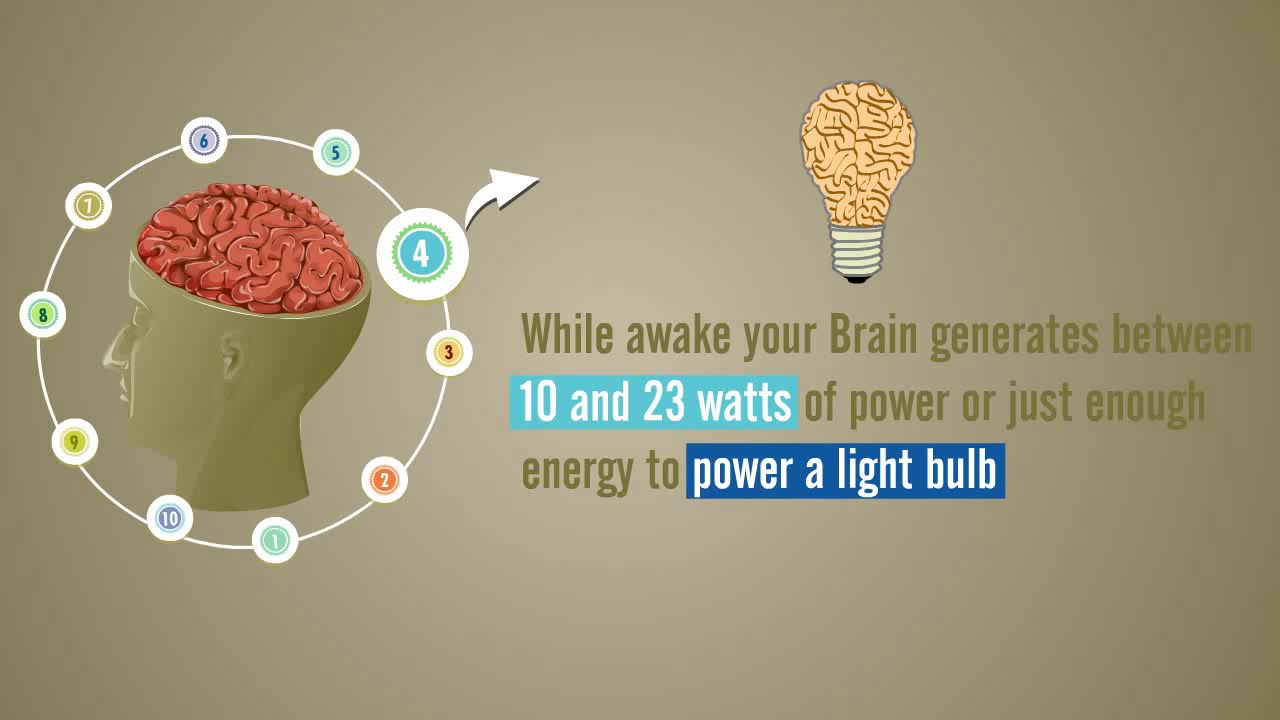 Amazing Facts about Your Brain - YouTube