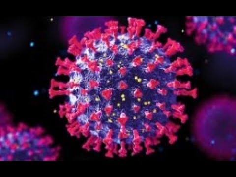 Gain of Function Research - YouTube