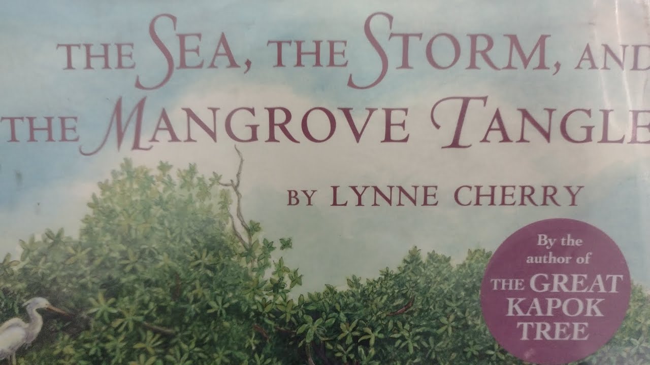 The Sea, The Storm, and the Mangrove Tangle - YouTube