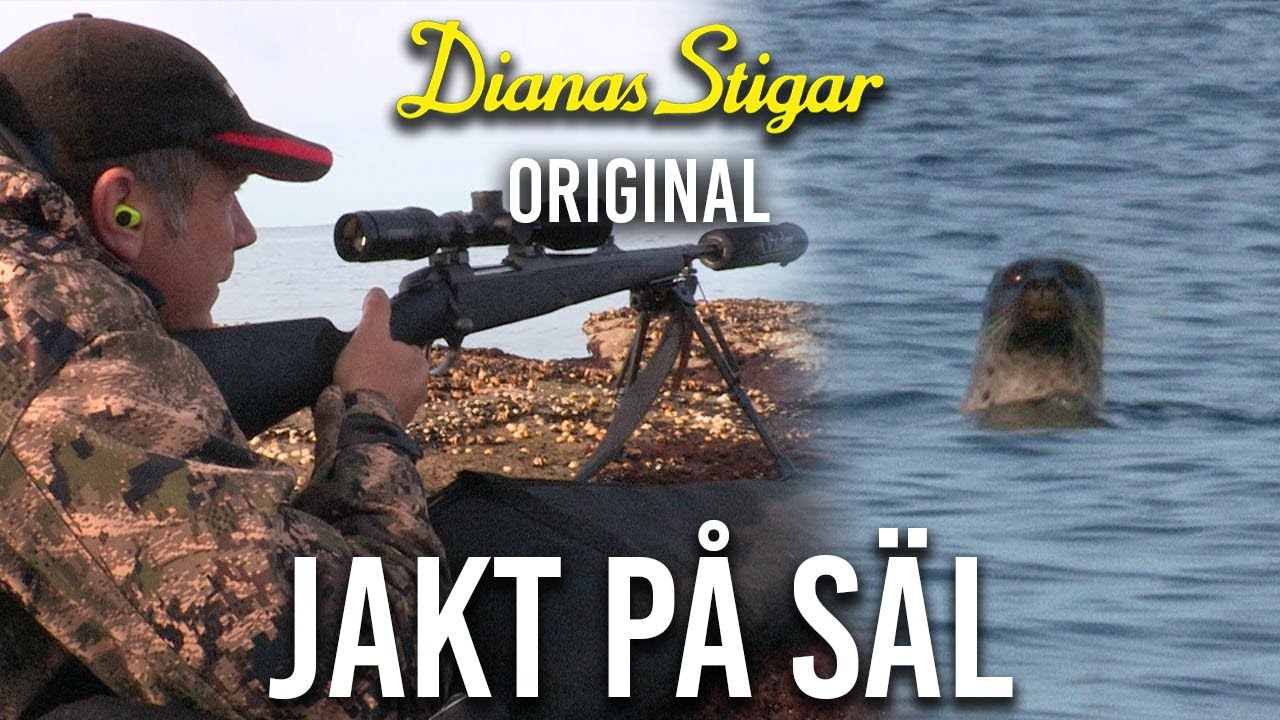 Jakt på säl (Jaktlust extended version) - YouTube