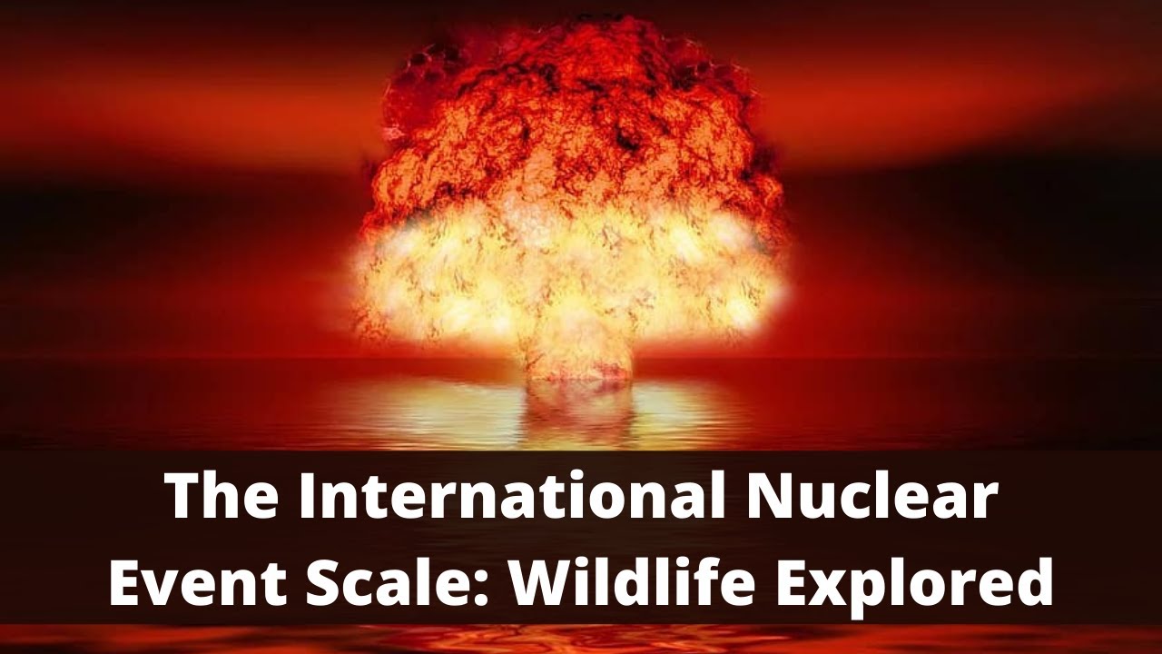 What is the International Nuclear Event Scale? Radiation & Wildlife ...