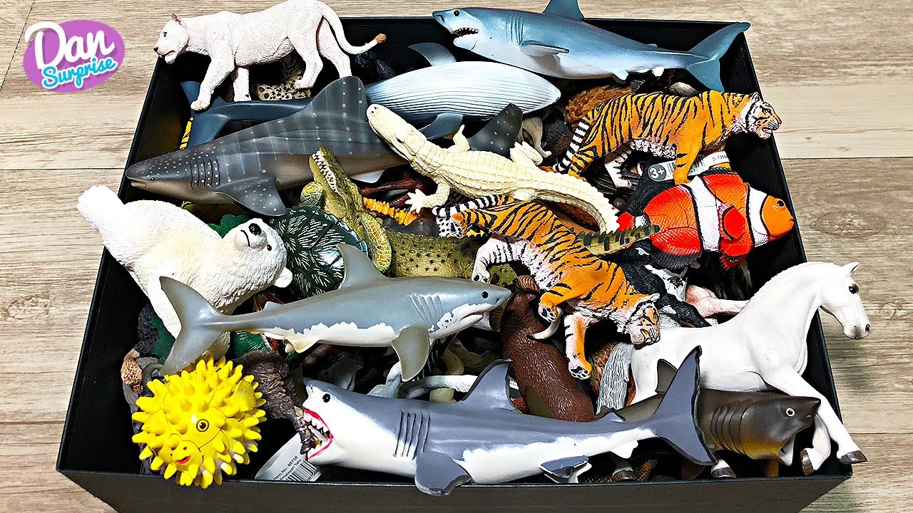 A Box of Sea Animals - Sharks, Whales, Crocodile, Clownfish, Whale ...