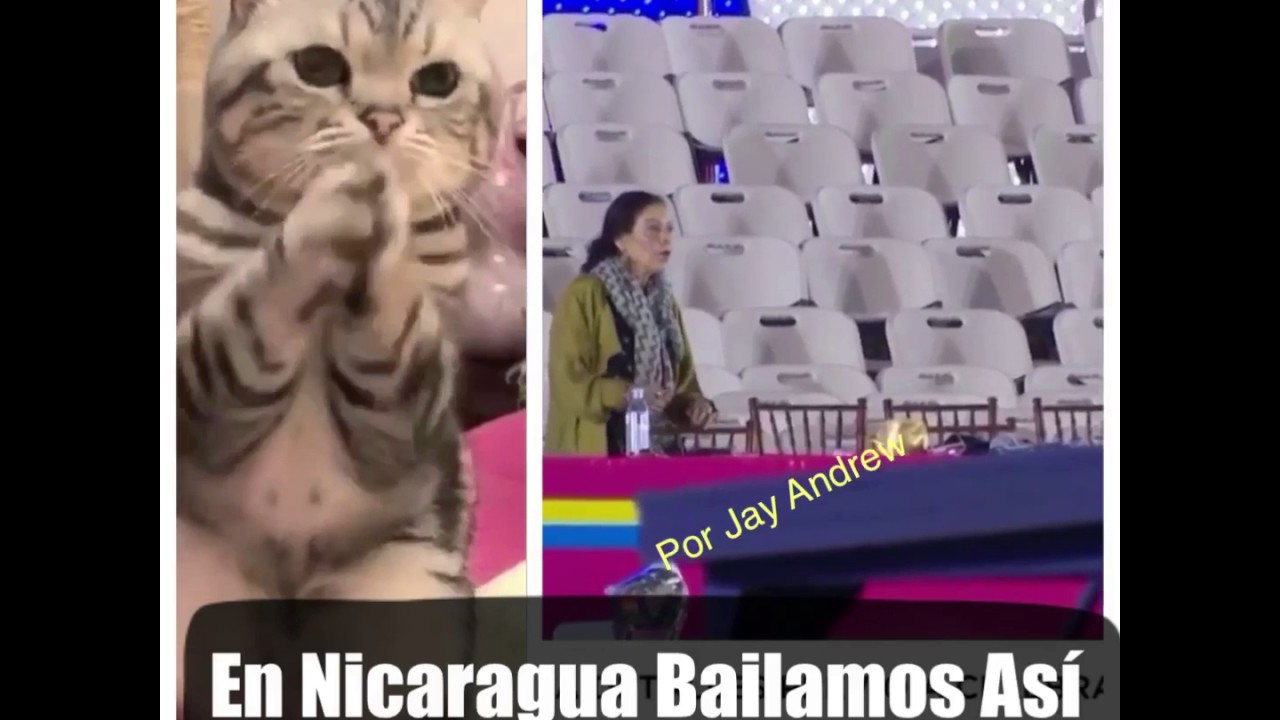 La Chayo Murillo Bailando - YouTube