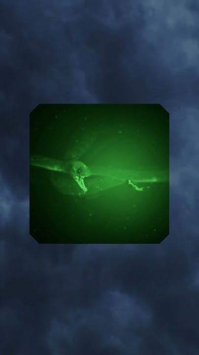 SCP 3000: The Anantashesha #fact #scp - YouTube