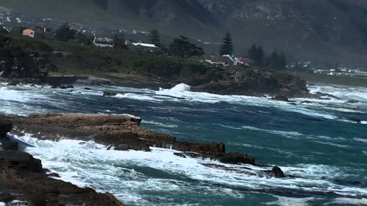 Whale Crier At Hermanus, South Africa - YouTube