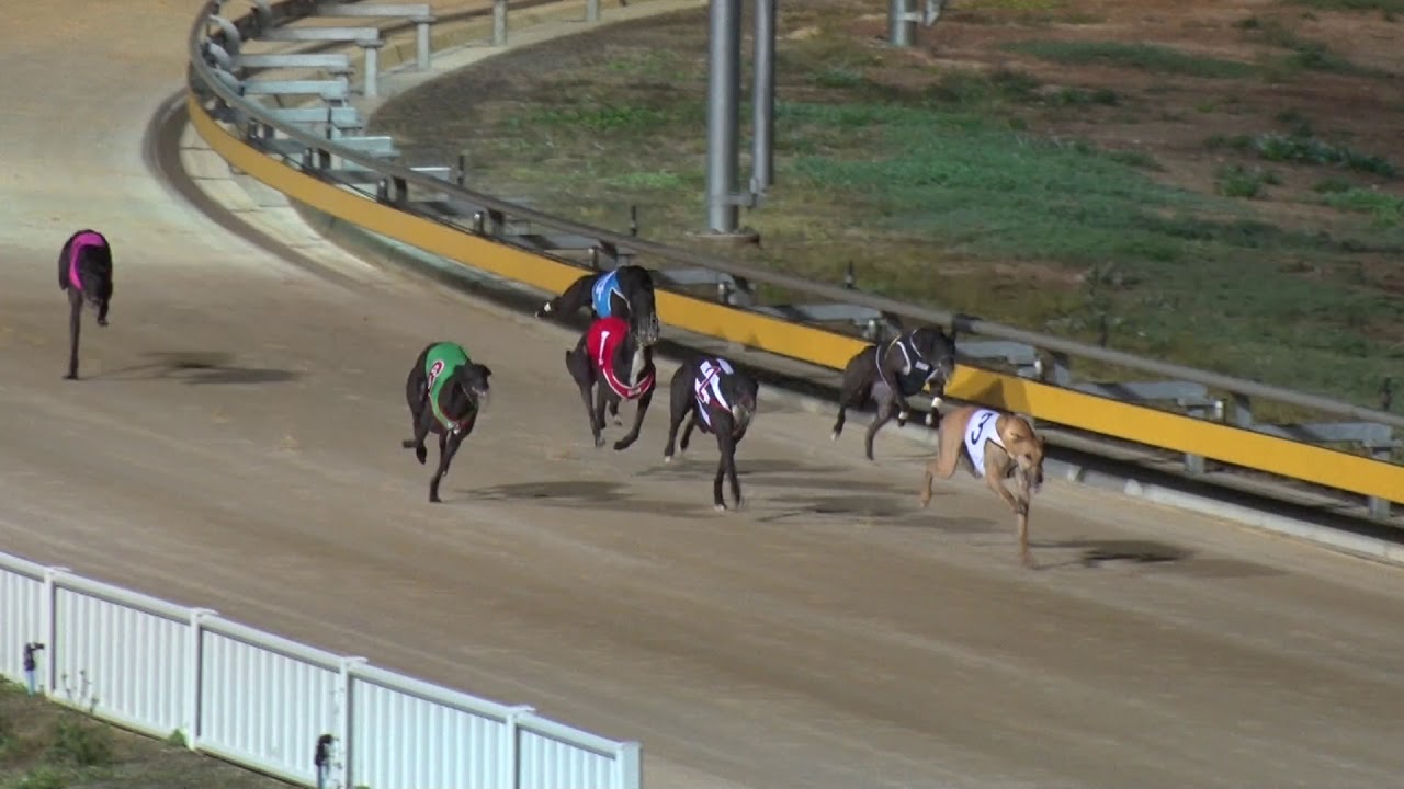 Murray-Bridge-26042020-Race-9 - YouTube