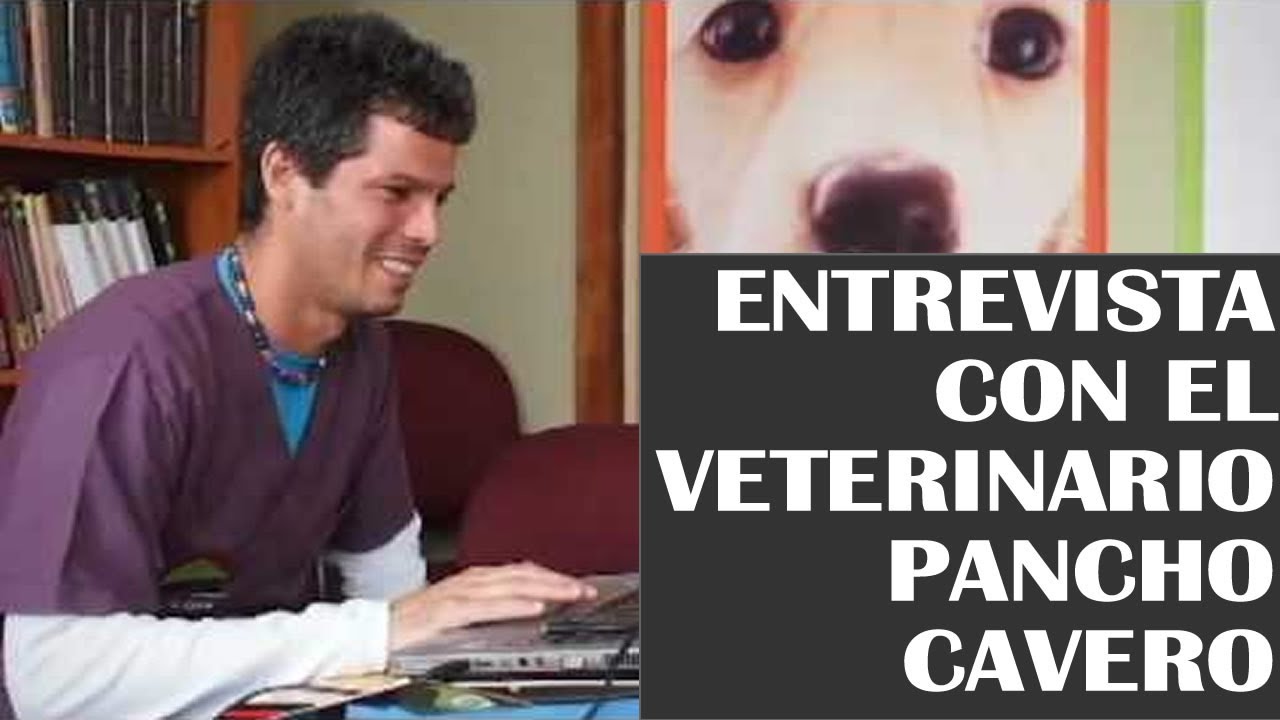 FINA TINTA / Entrevista a Pancho Cavero - YouTube