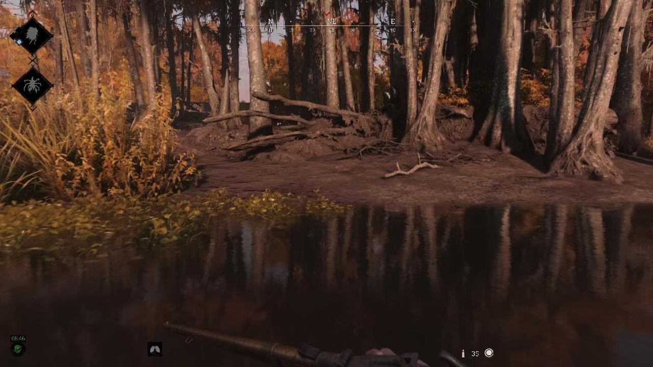 I just want gator traps - YouTube