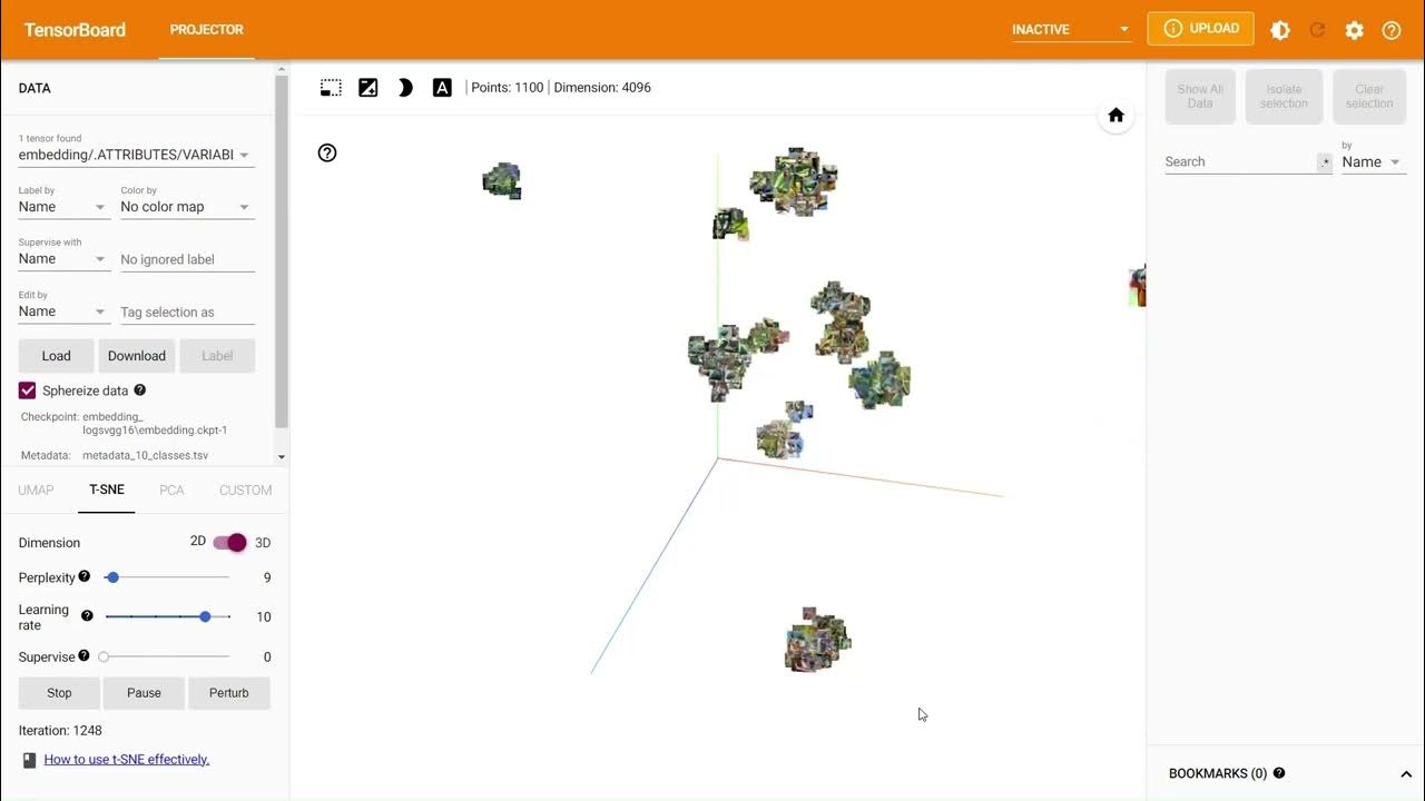 Visualizing Bird Classification Model Using TensorBoard - YouTube