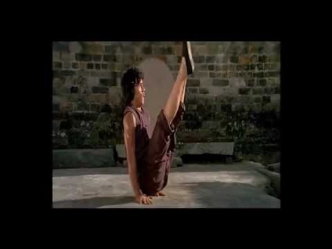 Jackie chan - training, snake in eagle's shadow.