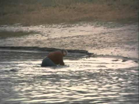 Zaat - The catfish monster strikes! - YouTube