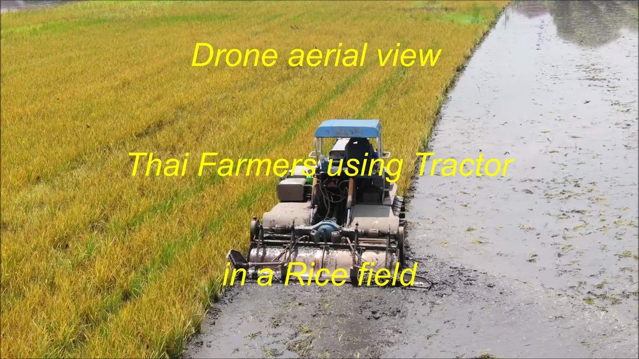Thai farmers using tractor in a rice field in Thailand. - YouTube