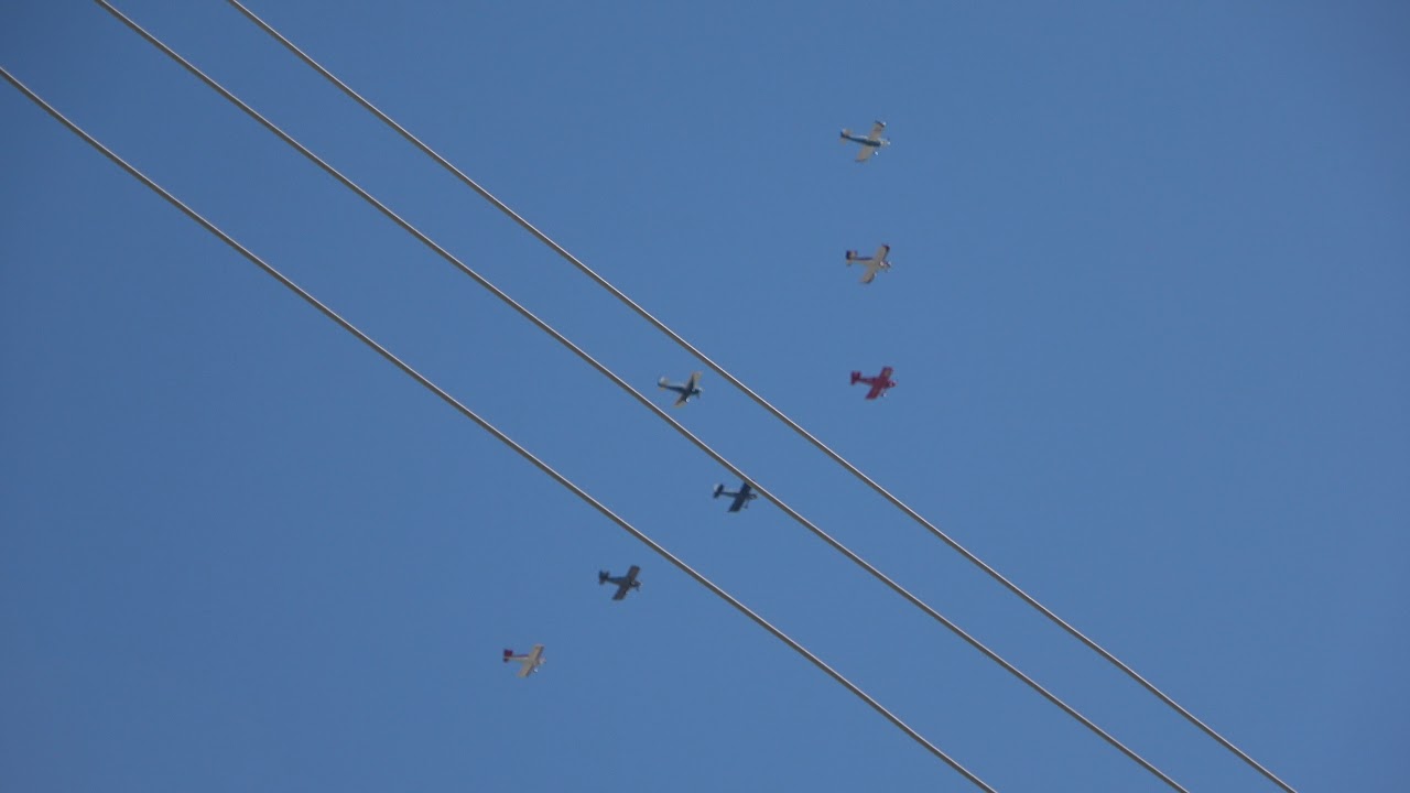 West Coast Ravens Fly Over Sacramento February 29, 2020 - YouTube