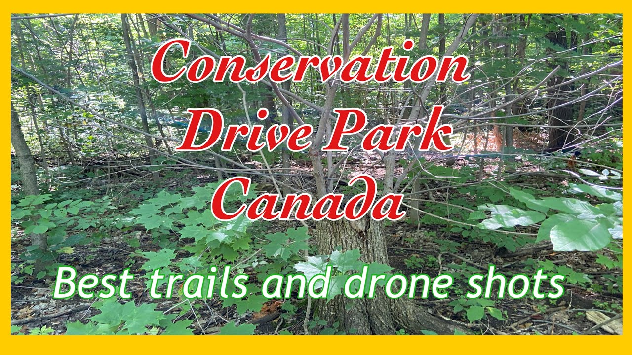 Conservation Drive Park Canada Best Relaxing Trails | Drone Shots ...