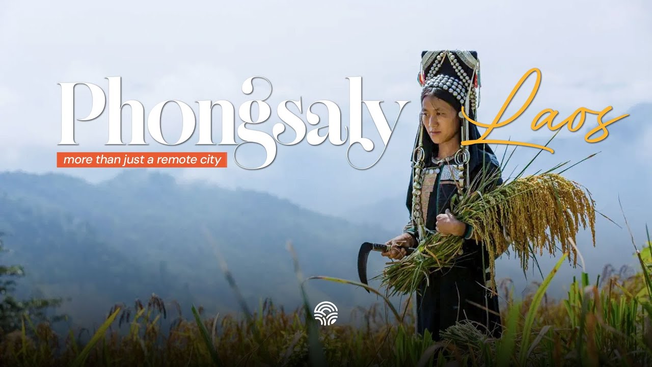 Exploring Phongsaly, Laos | Ancient Tea Trees & Ethnic Villages - YouTube