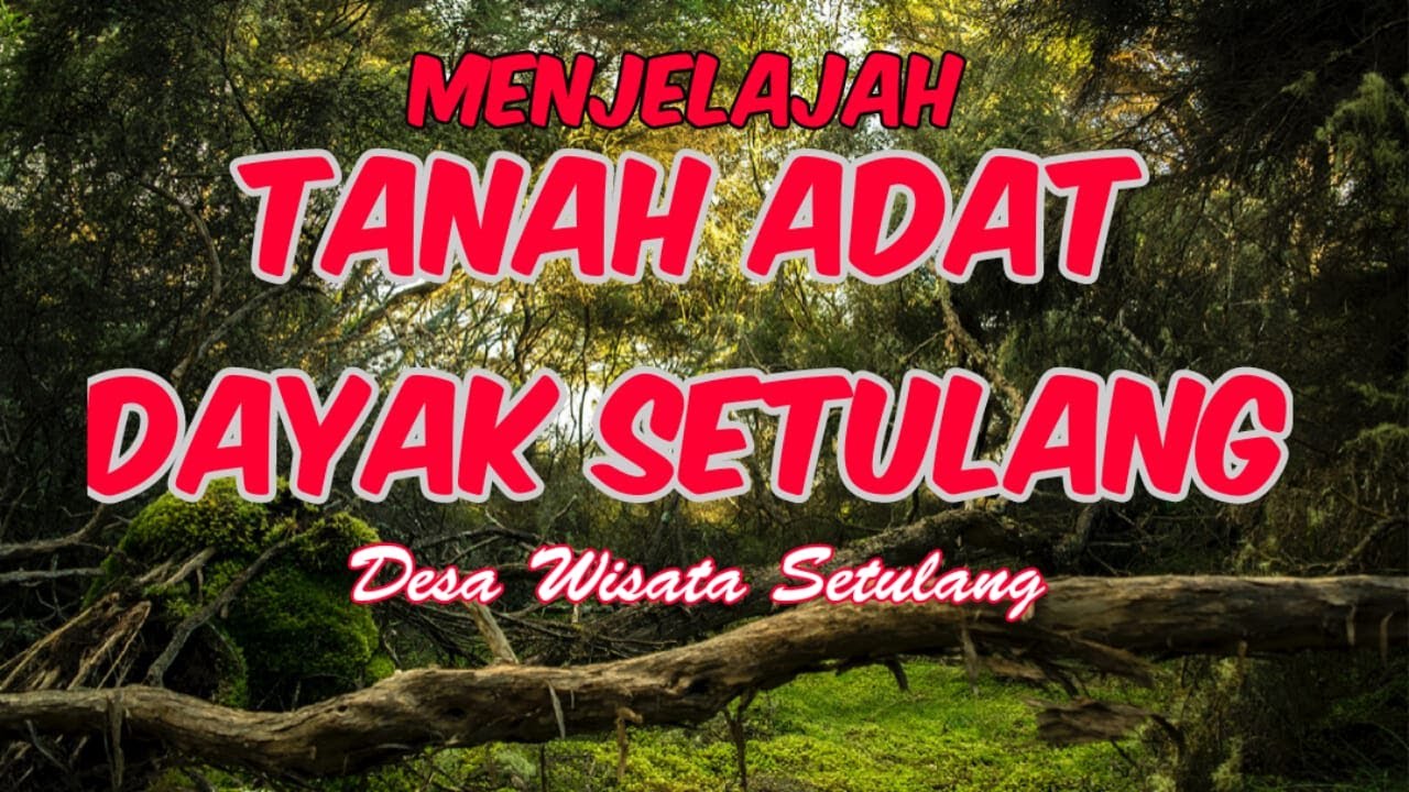 Desa Wisata setulang || Tana olen - YouTube