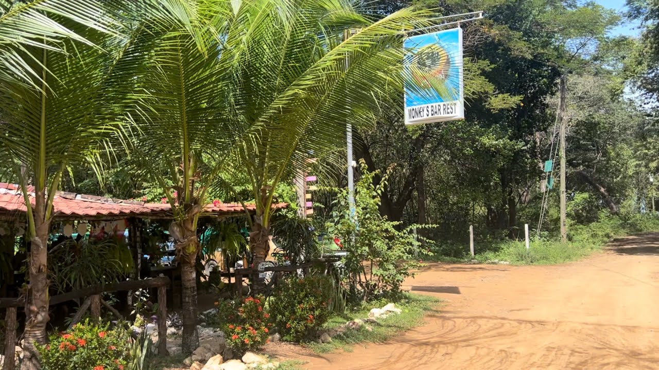 The Monkeys Bar Costa Rica - YouTube