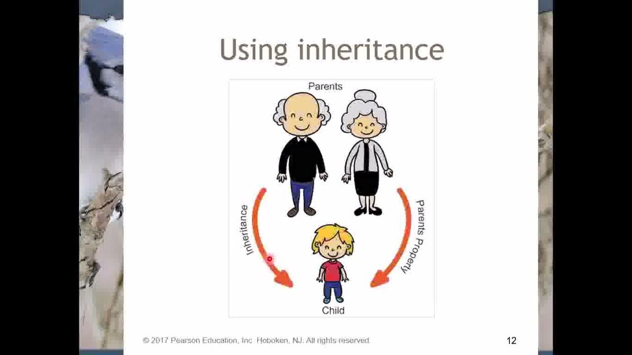 Session 8 - Inheritance - YouTube