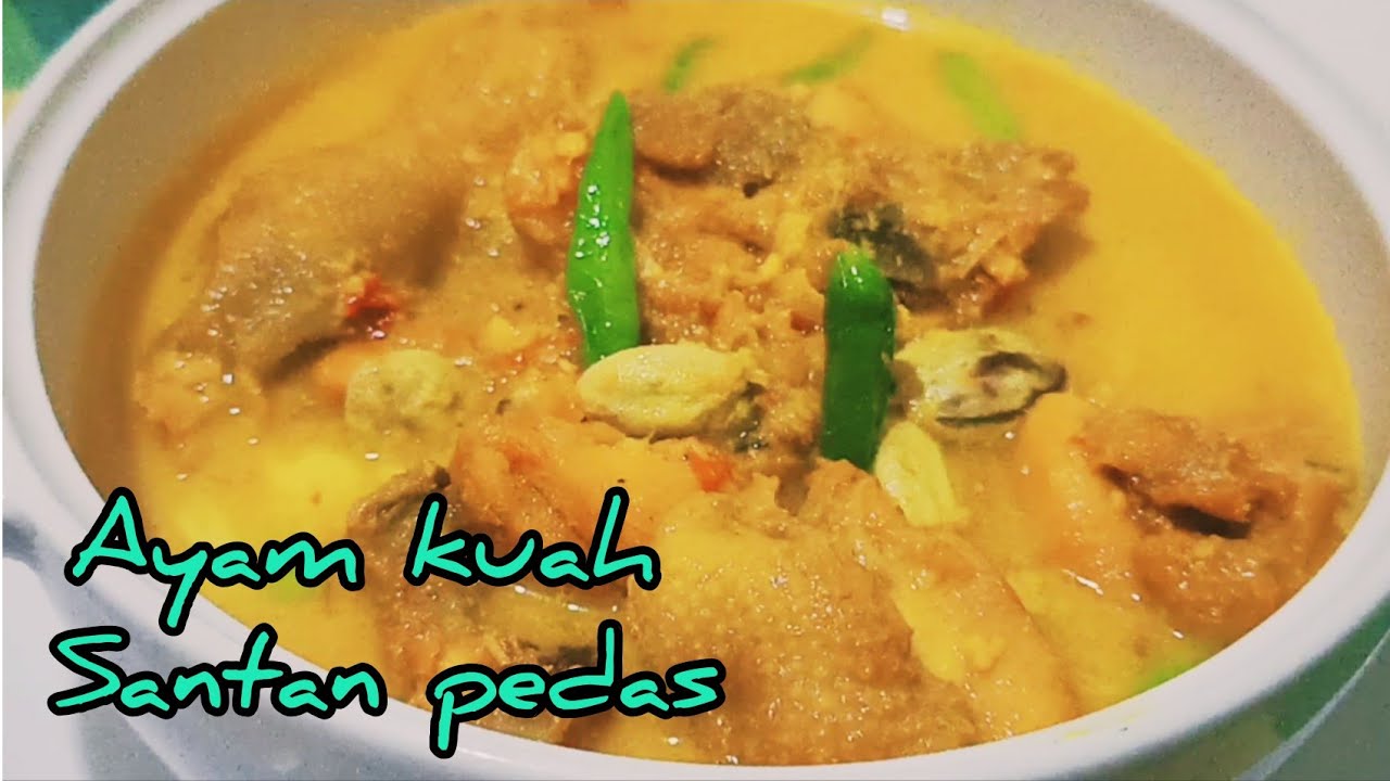 Resep ayam kuah santan pedas | Masakan tradisional | enak, pedas, gurih ...
