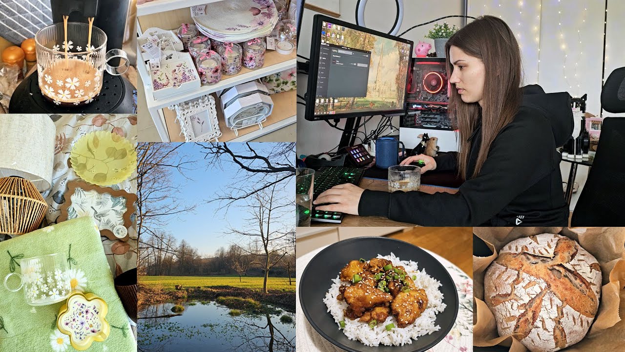 TEDENSKI VLOG, PEPCO HAUL, ORANGE CHICKEN RECEPT | FINA JASMINA VLOG ...