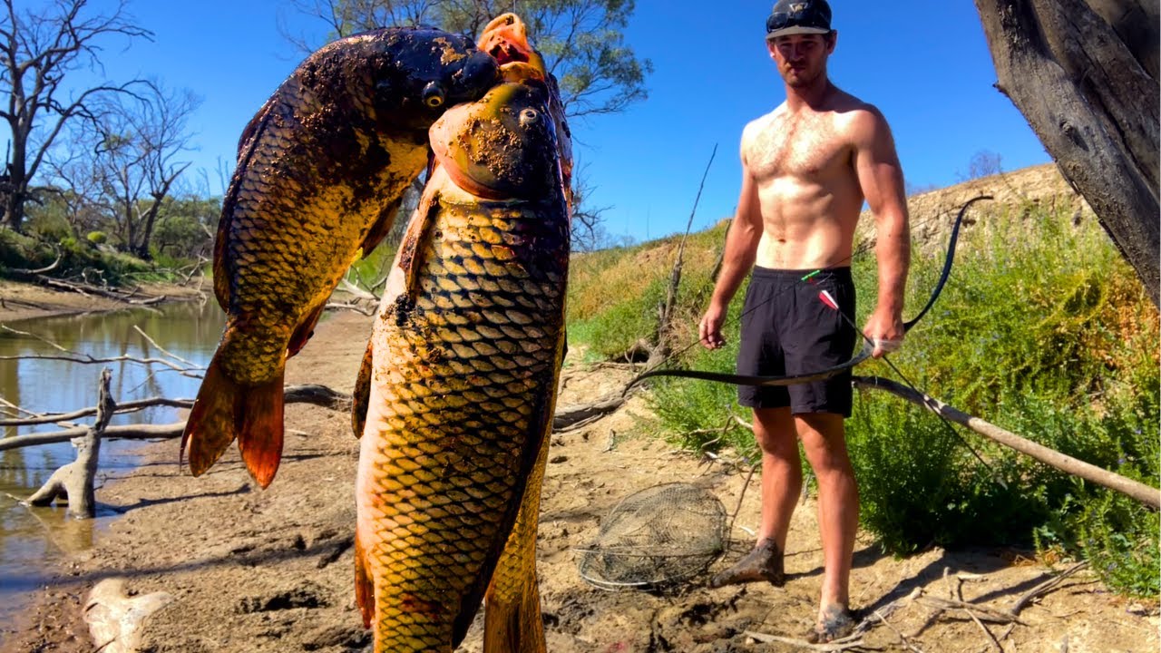 Bow Fishing Feral Carp in Australian Outback | Catch and Cook - YouTube