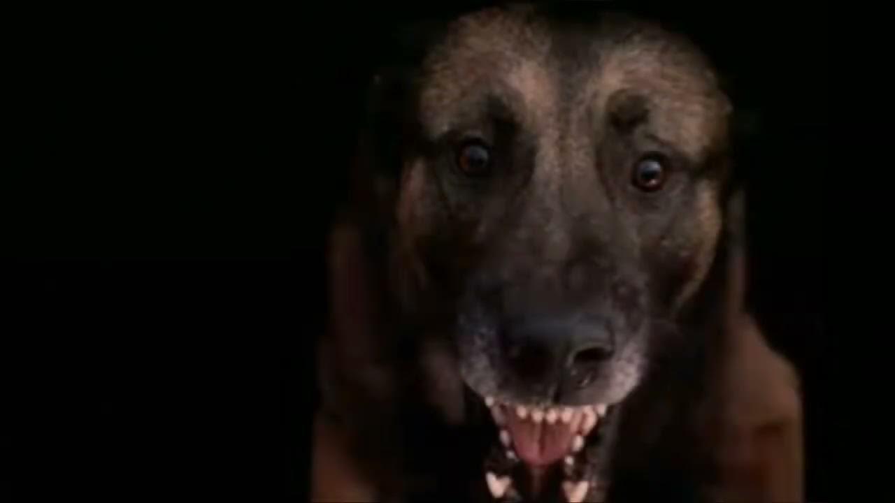 Cujo: The Remake fan made trailer#1 (2025) - YouTube