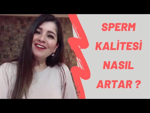 SPERM KALİTESİ NASIL ARTIRILIR ?  Neler yemeli ? 🍔 🍟 🍕 🍺 🍫🍷