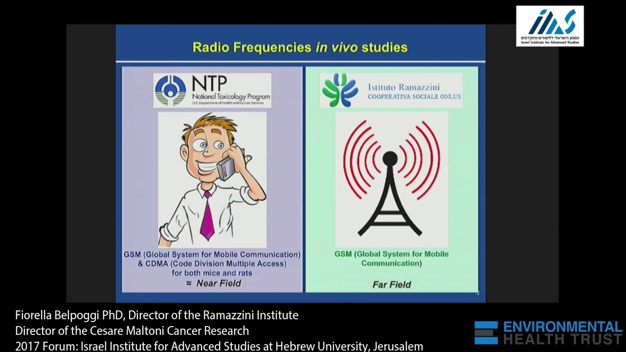 Ramazzini Institute Bioassays on Wireless Radiation: Fiorella Belpoggi ...