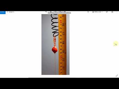 Resorte MAS con Tracker - YouTube