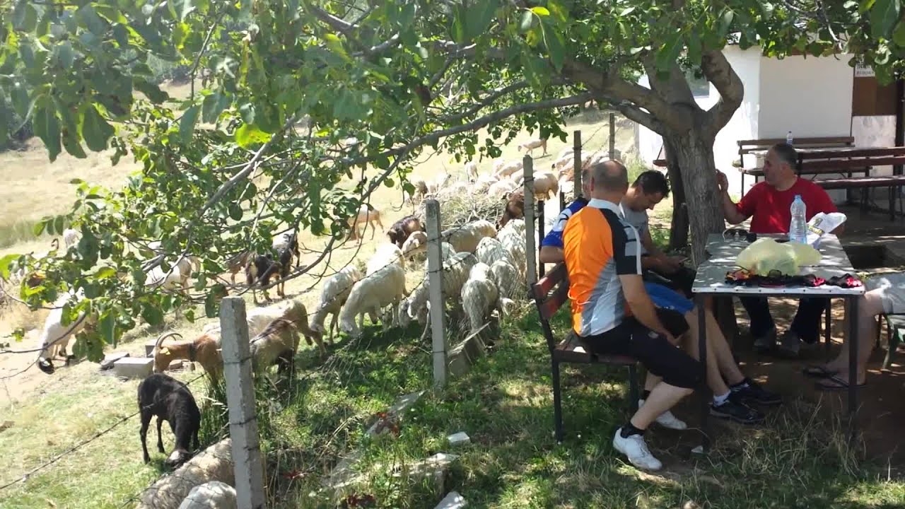 LUDORIIII SMOLEVO SV.ATANAS LETO 2014 - YouTube