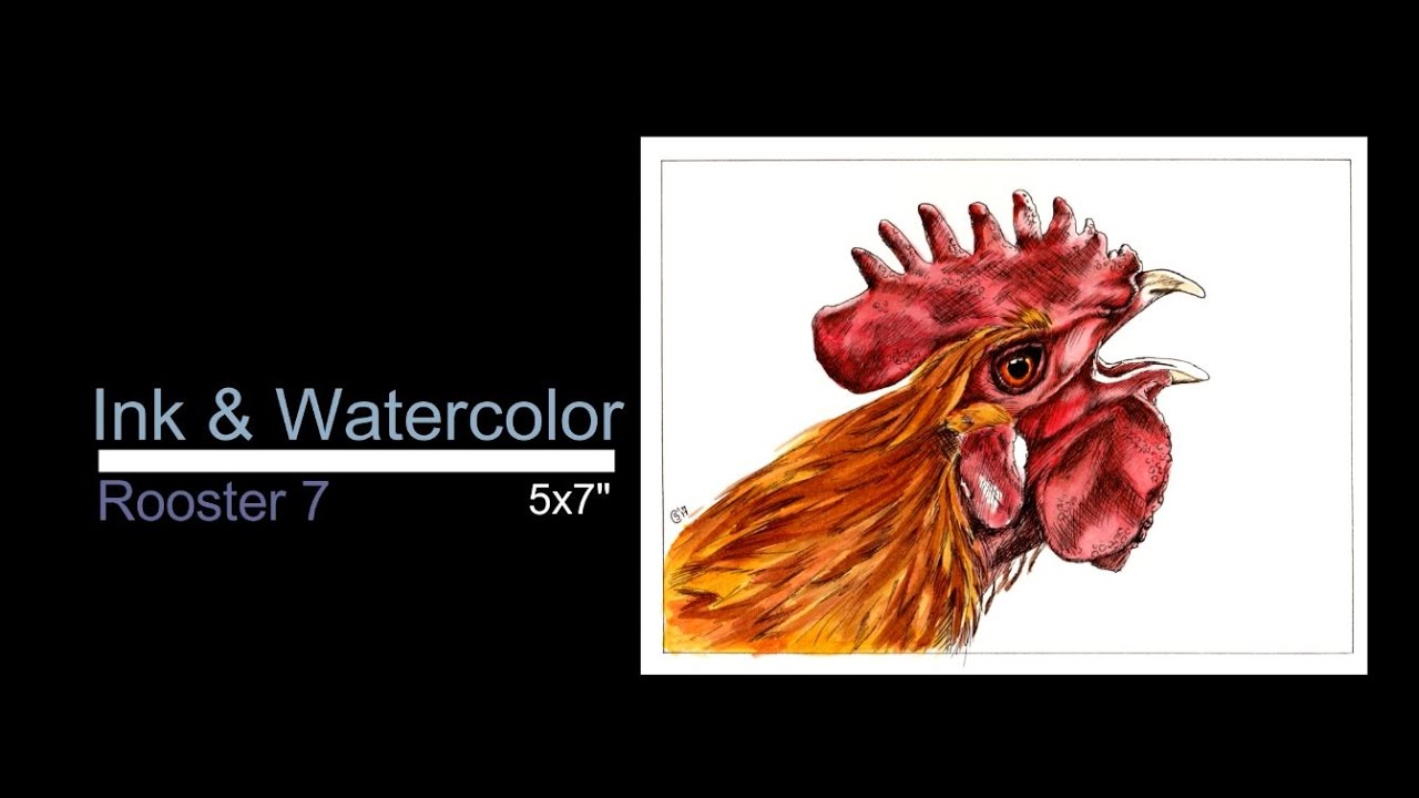 Ink and watercolor demo: how to draw a rooster - YouTube