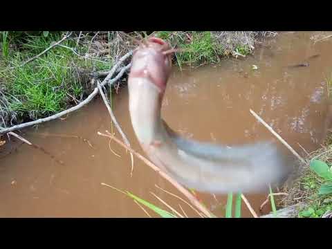 MANCING DARI sore sampai malam IKAN NYA Nggak SAMPAI RUMAH