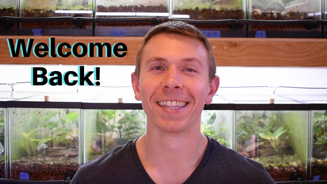 Welcome Back! - YouTube