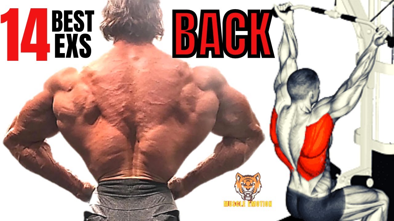 14 BEST BACK EXERCISES TO GET BIGGER BACK FAST - YouTube