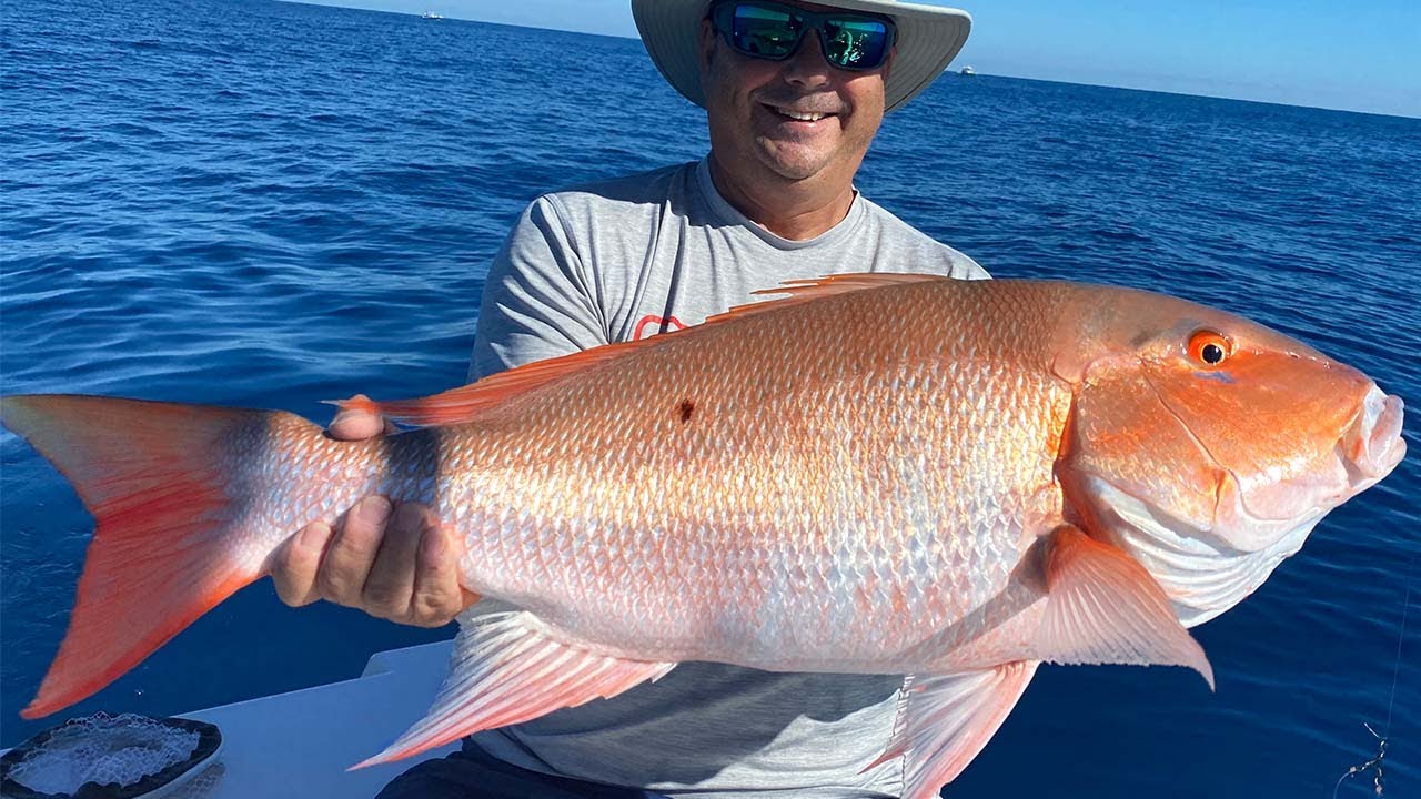 INSANE mutton bite with NEW boss! - YouTube