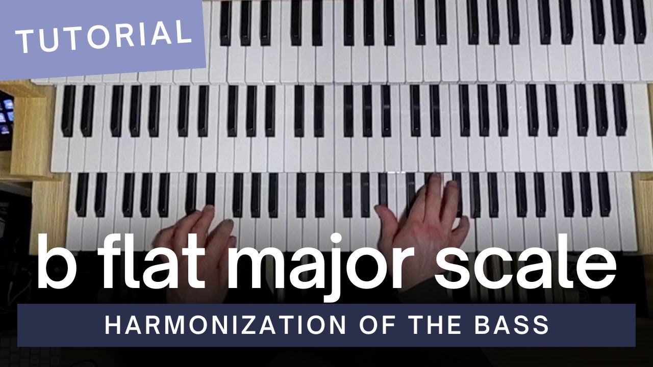How to Harmonize Bb Major Scale in the Bass - YouTube