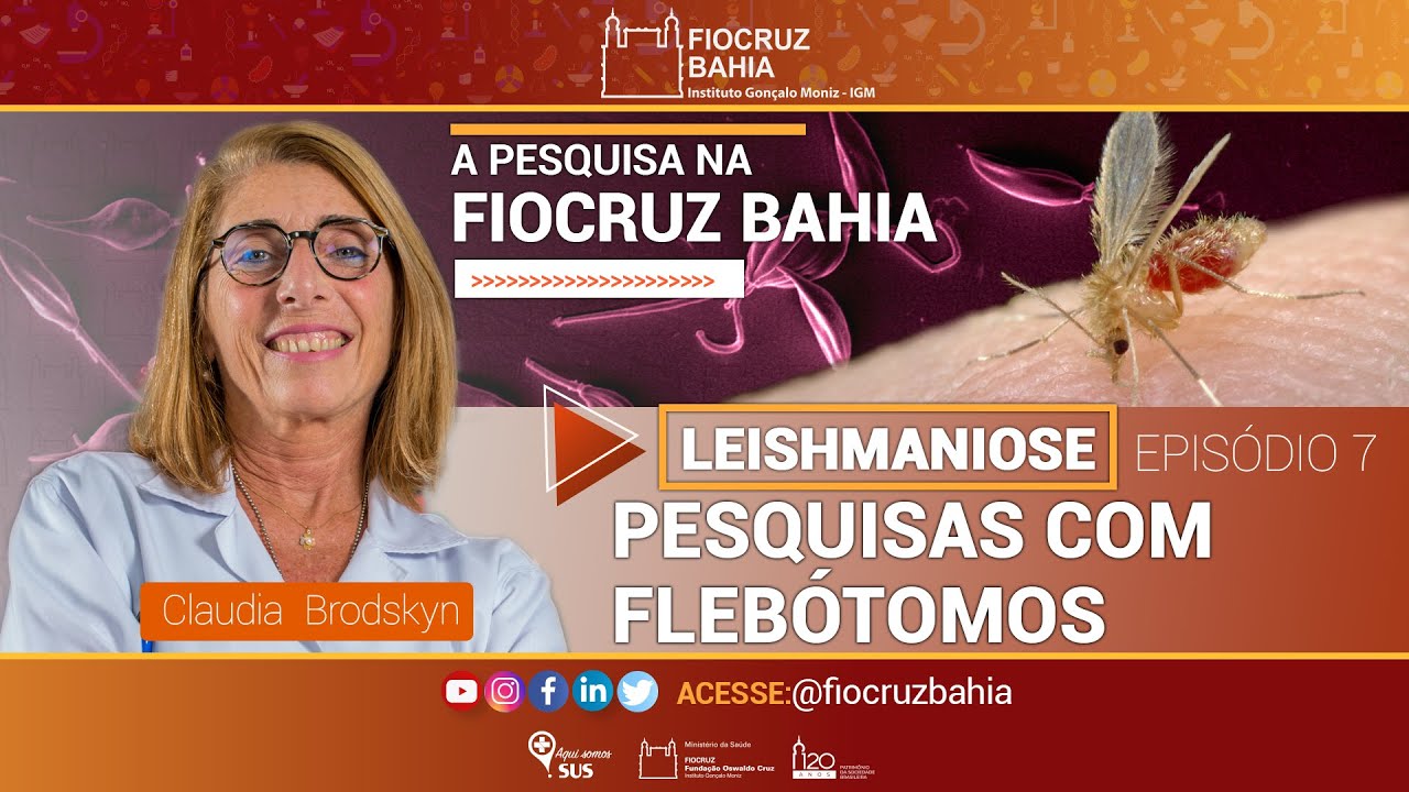 Pesquisas com flebótomos - YouTube