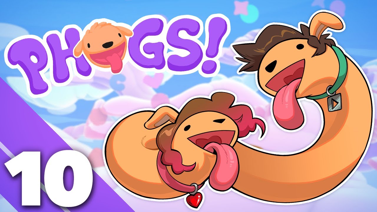 PHOGS! - #10 - Phocused Phogs - YouTube