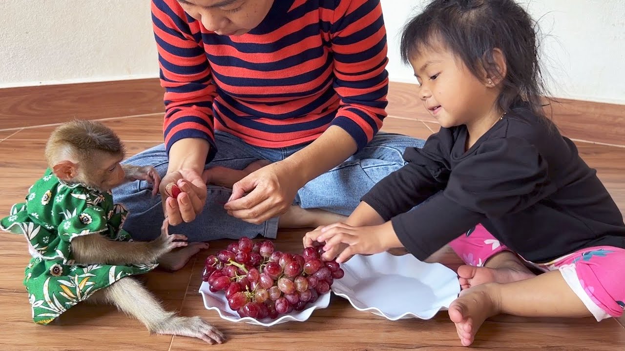Kind Hearted Bela Peel Off Grape Fruit For Lil Cutie MODY - YouTube