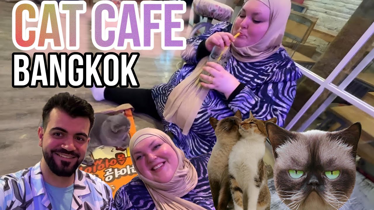 CUTE CATS AT A CAT CAFE IN BANGKOK THAILAND COUPLE VLOG - YouTube
