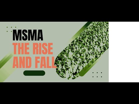 MSMA: The Rise, Fall & The Alternatives