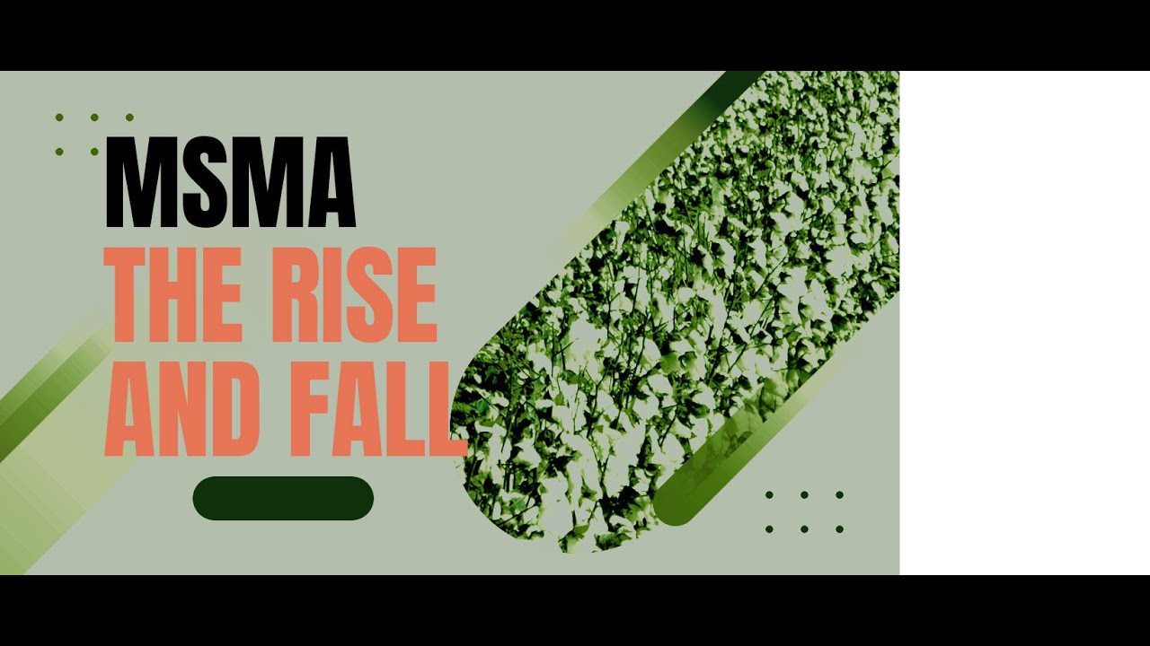 MSMA: The Rise, Fall & The Alternatives - YouTube