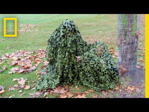 Daniel Raven-Ellison: Guerrilla Geography | Nat Geo Live - YouTube