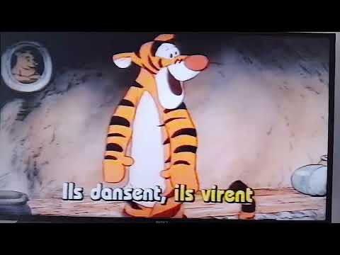 chantons ensemble 3 c'est merveilleux être un tigre