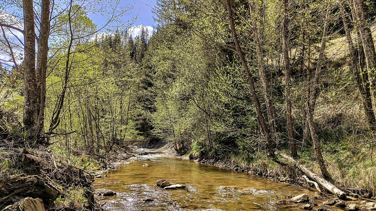 In sfarsit la PASTRAV! Am PESCUIT pe un rau de munte in aprilie 2024 ...