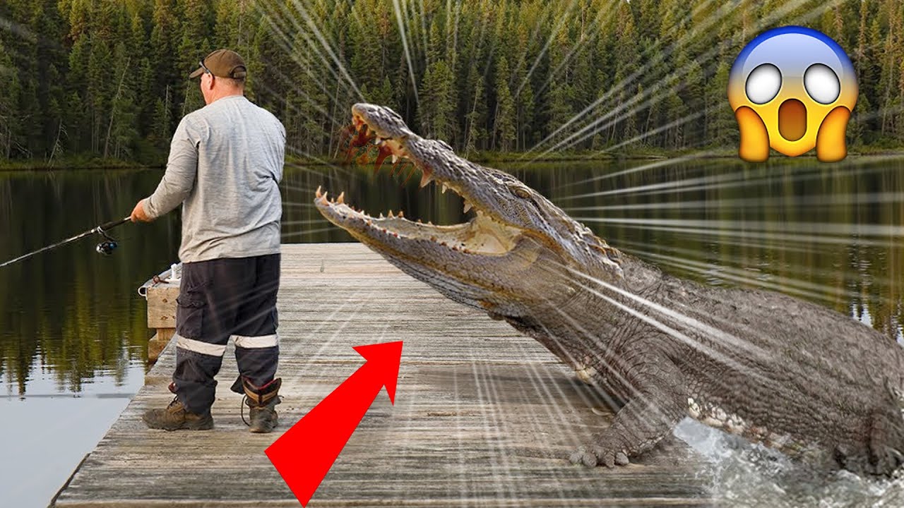 Scariest Crocodile Encounters || खूँखार मगरमच्छ के हमले - YouTube