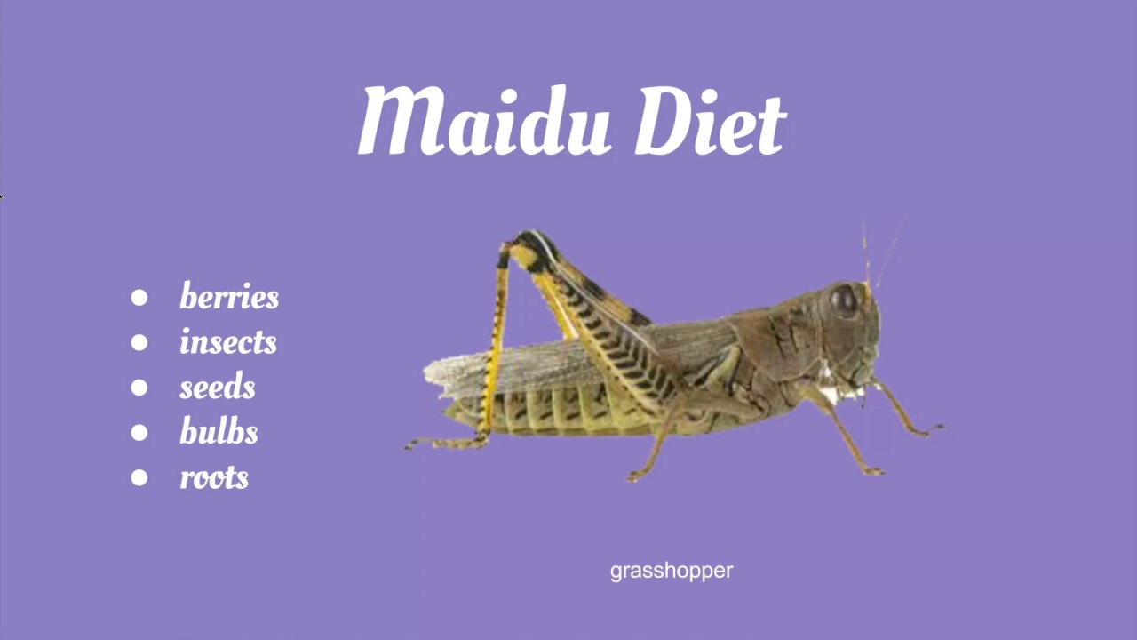 Maidu Tribe Screencast 2016 - YouTube