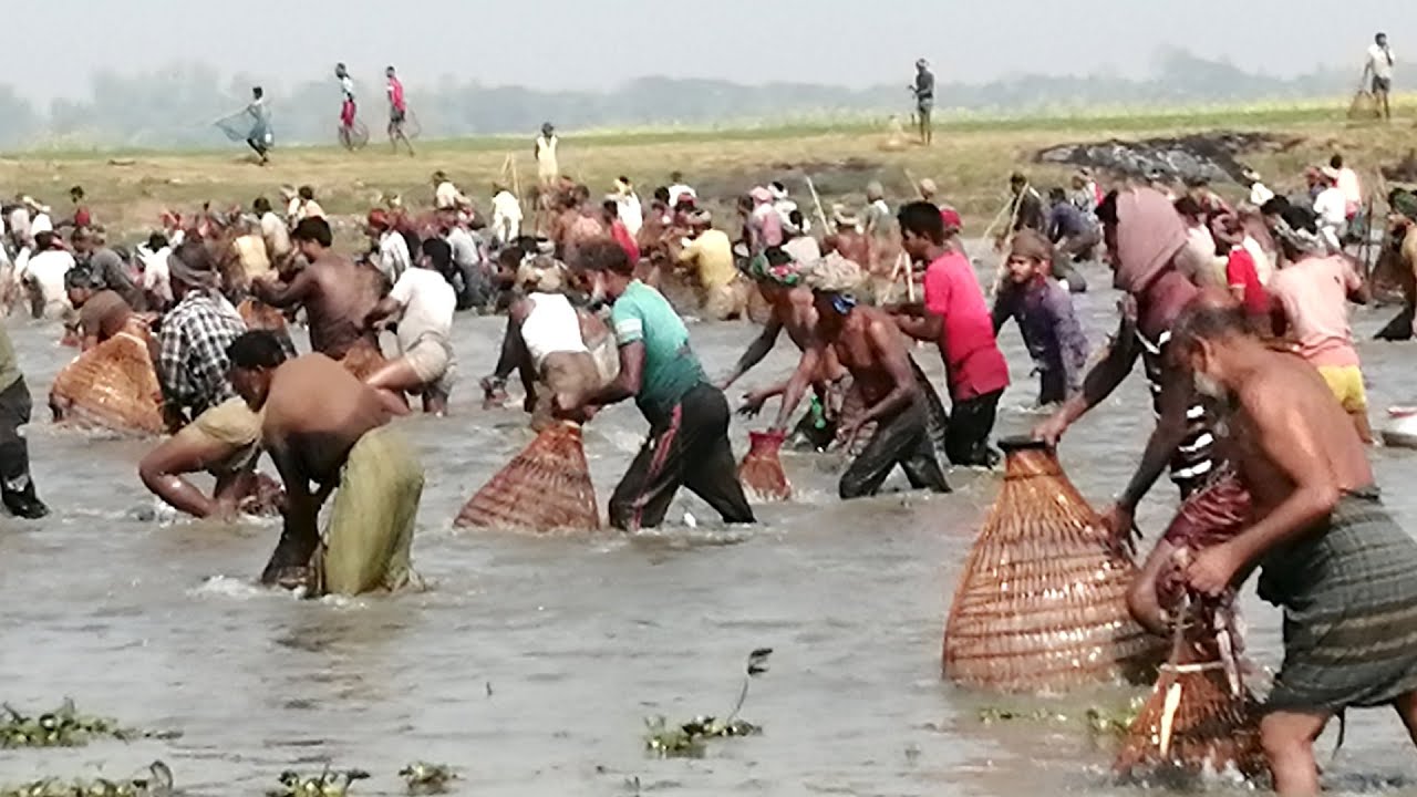 About 500 Peoples Catching Fish Together Using Traditional Fishing ...