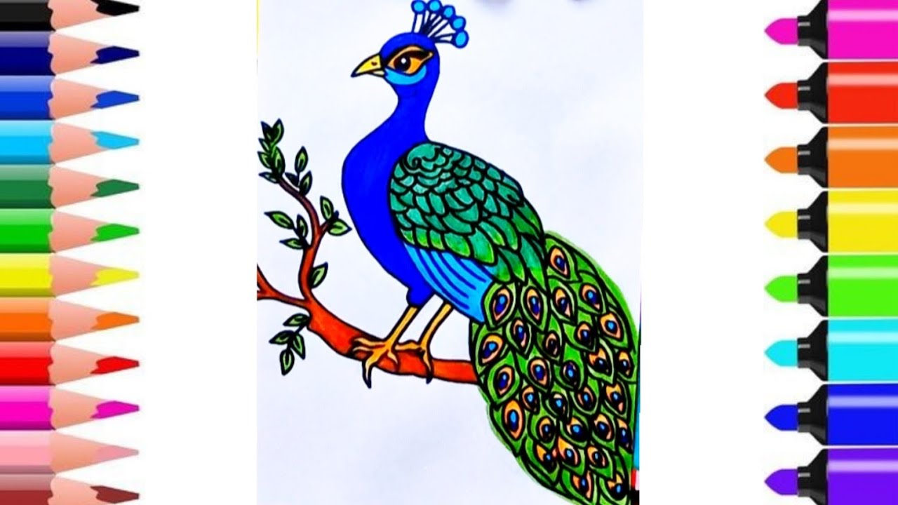 Easy step by step"Peacock"Drawing & colouring for kids & toddlers.How ...